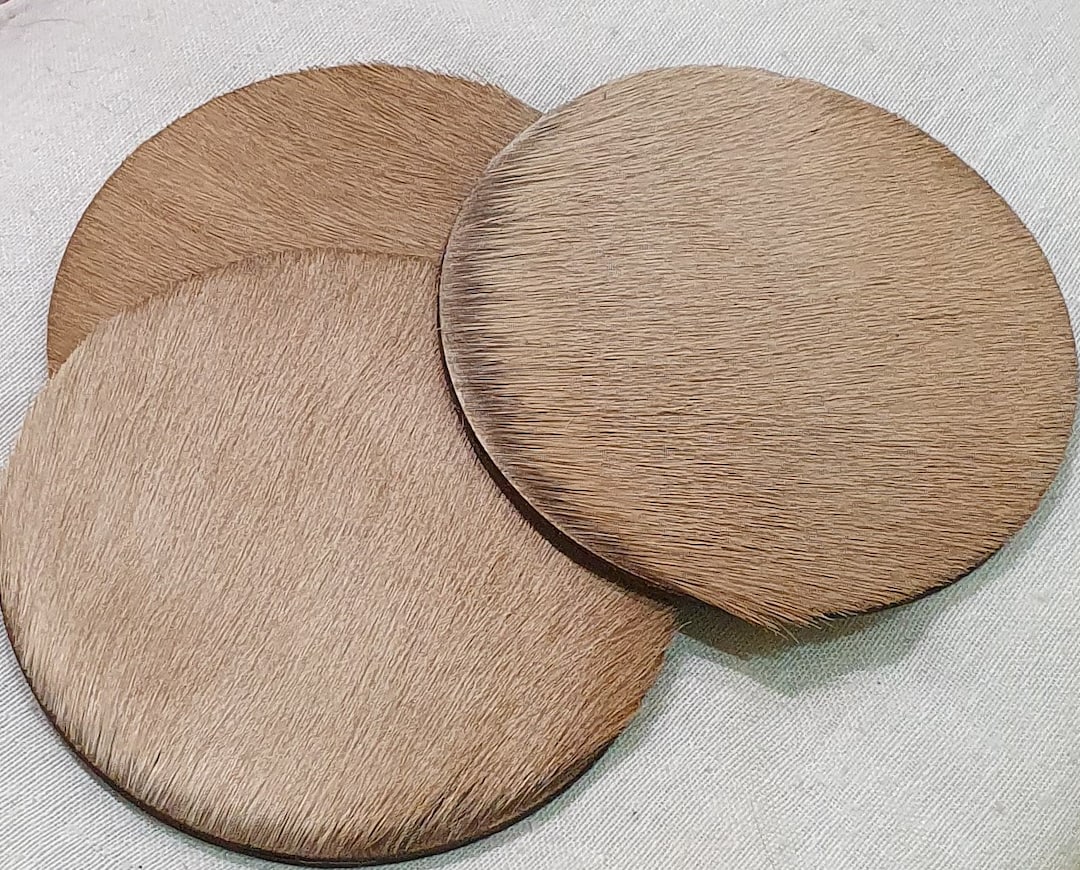 Springbok Hide Coasters SOLD INDIVIDUALLY - Etsy