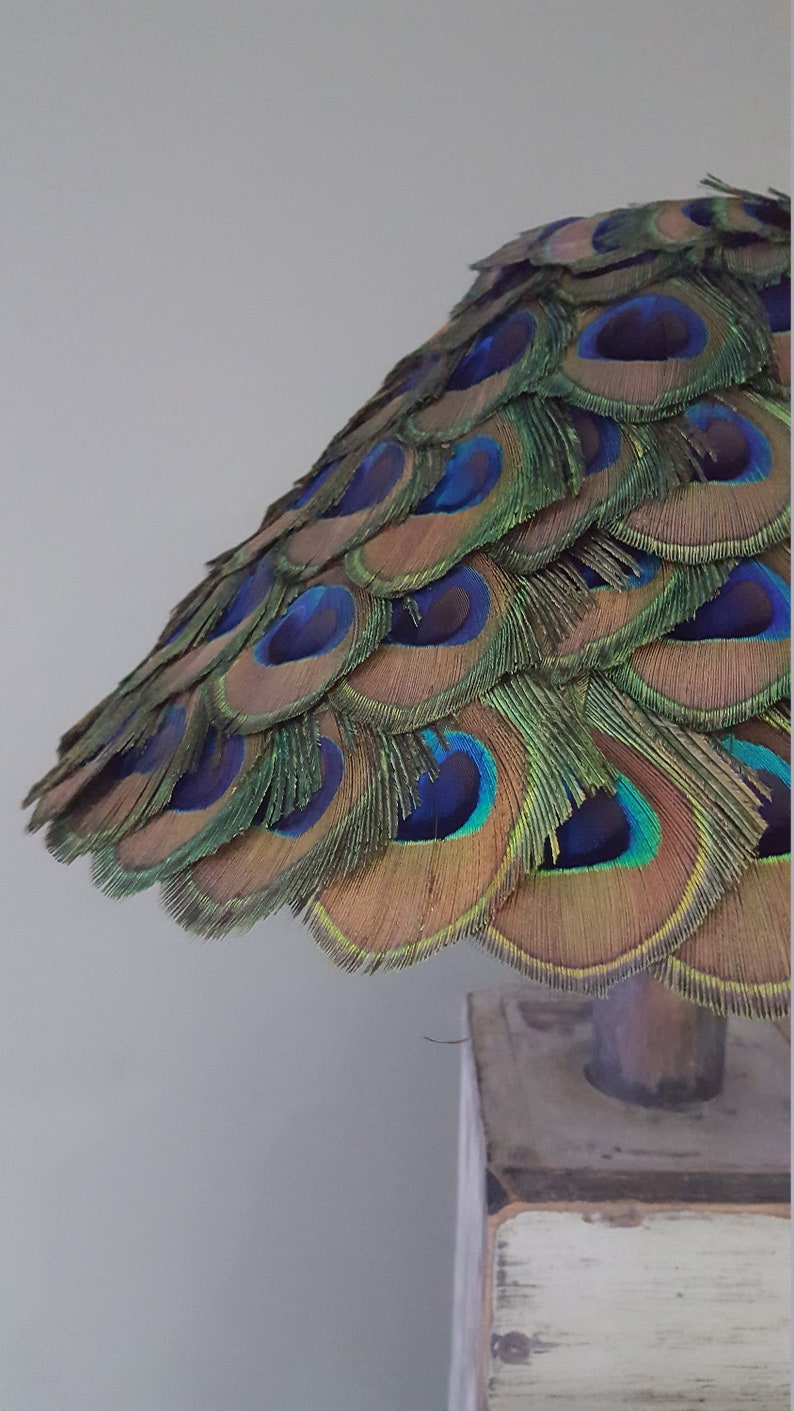 Real PEACOCK Feather Coolie Lampshade - Etsy UK