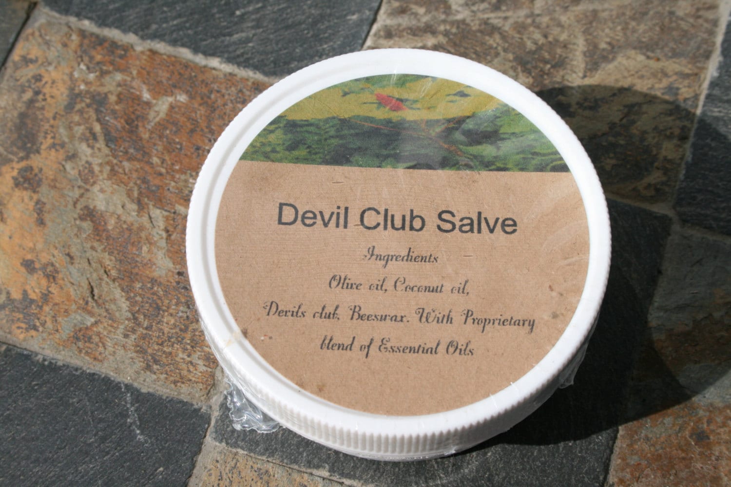 Devils Club All Natural Healing Salve / Organic Salve / - Etsy