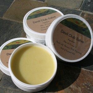 Devil’s Club All Natural Healing Salve / Organic Salve / Soothing Salve ...