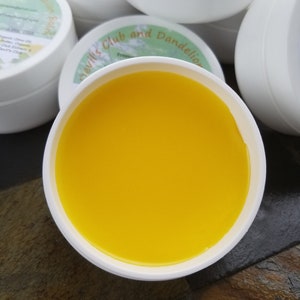Devil's Club and Dandelion Balm / Dandelion Salve / Native American ...
