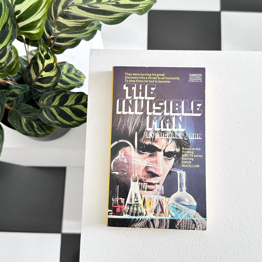 Vintage 1975 the Invisible Man by Michael Jahn David TV Series Tie in ...