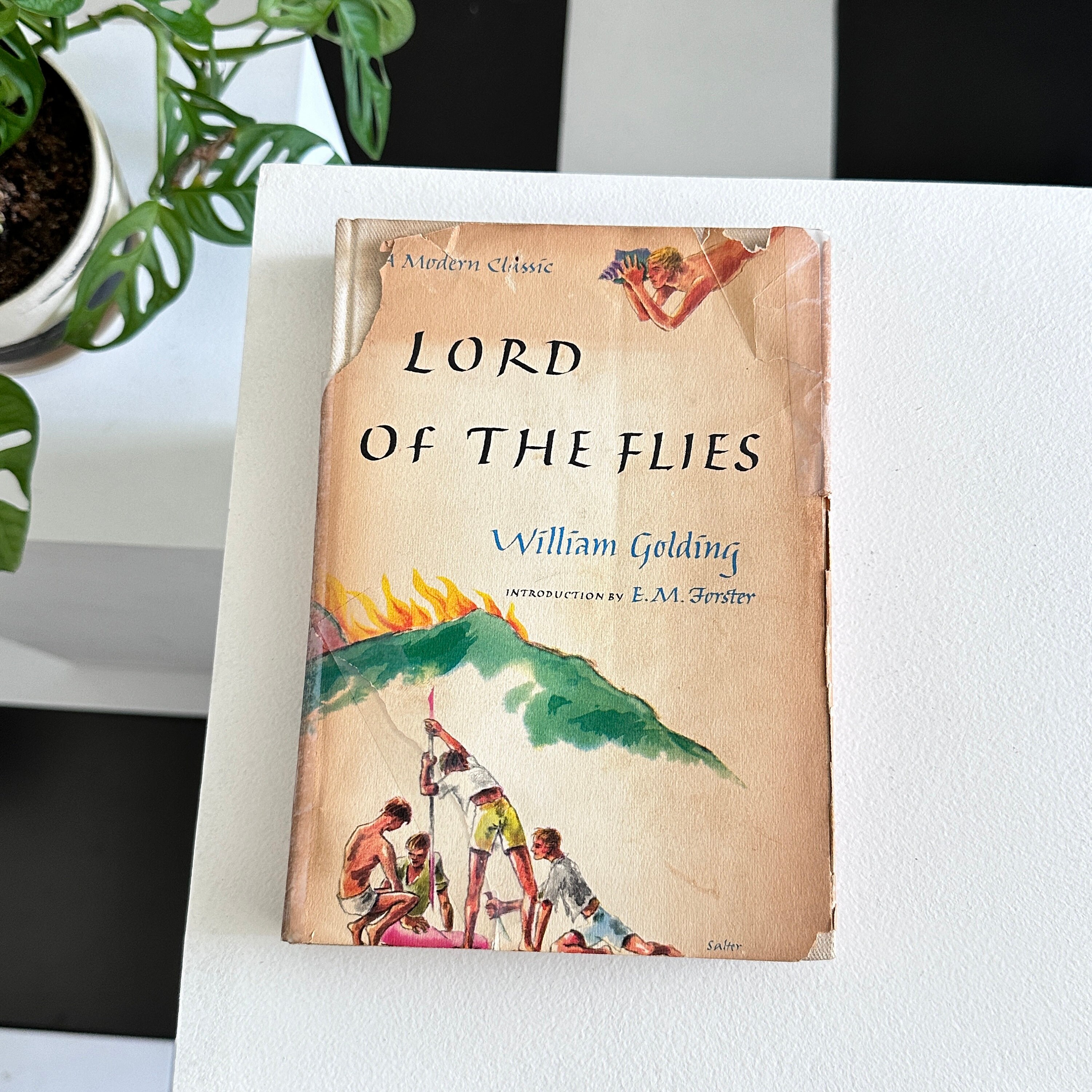 Vintage 1962 Edition Lord of the Flies William Golding Early 2nd ...