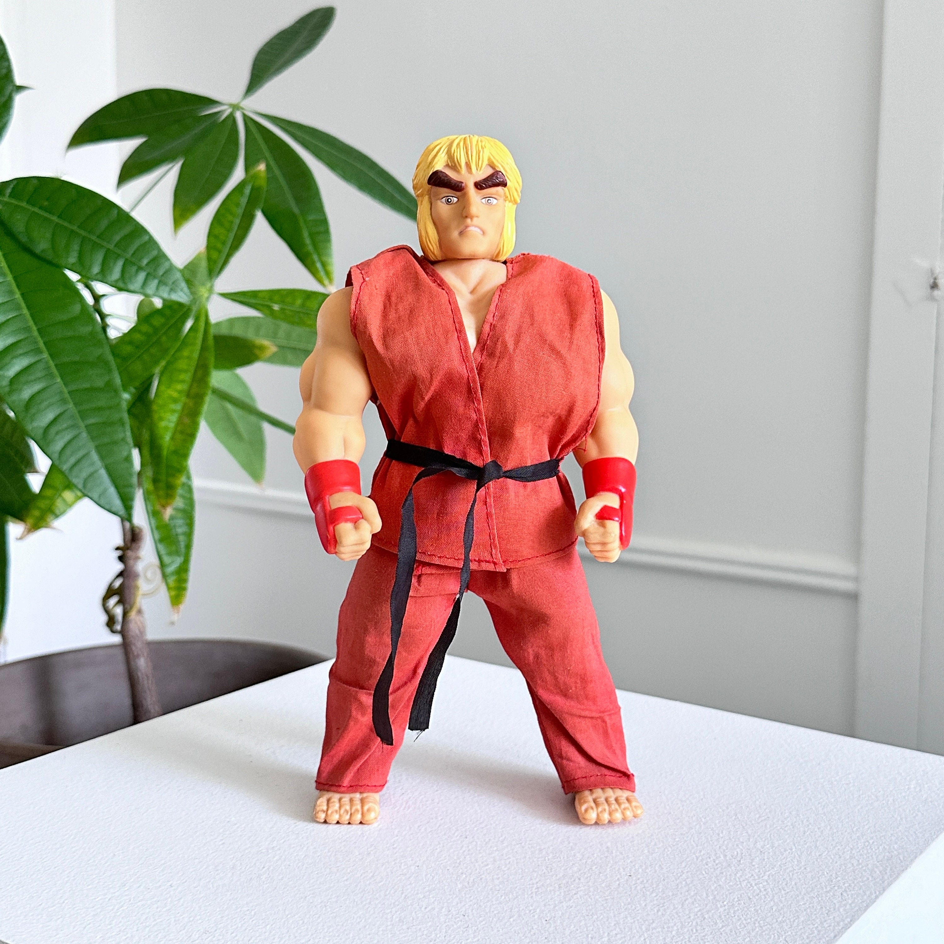 Vintage Super Fighter Ken Masters KO Street Fighter World Championship ...