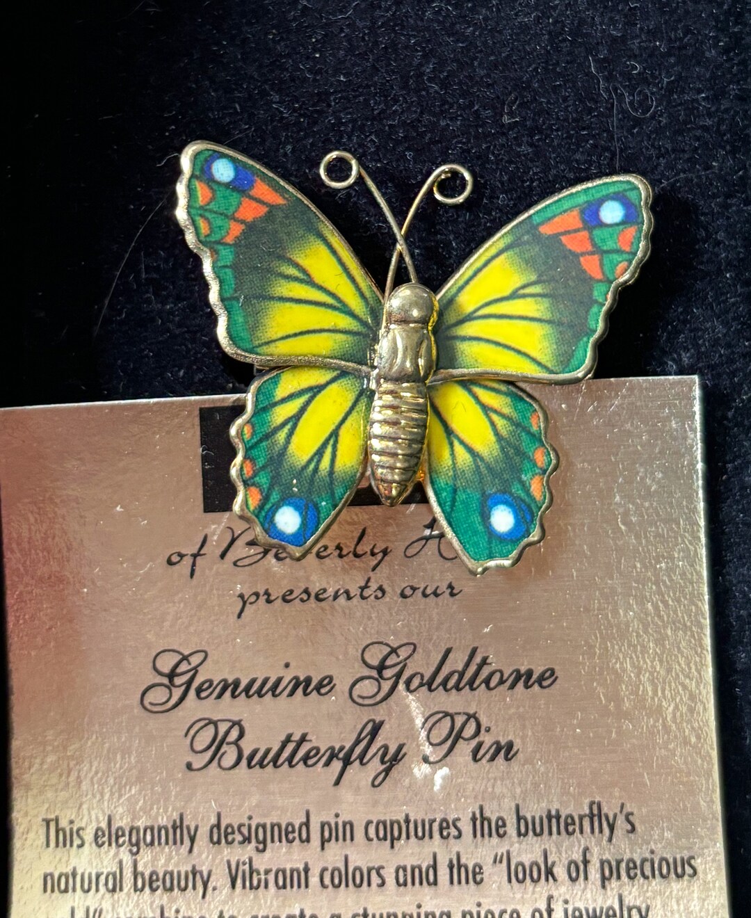 Vintage Ronte of Beverly Hills Butterfly Brooch Pin With Original Box ...