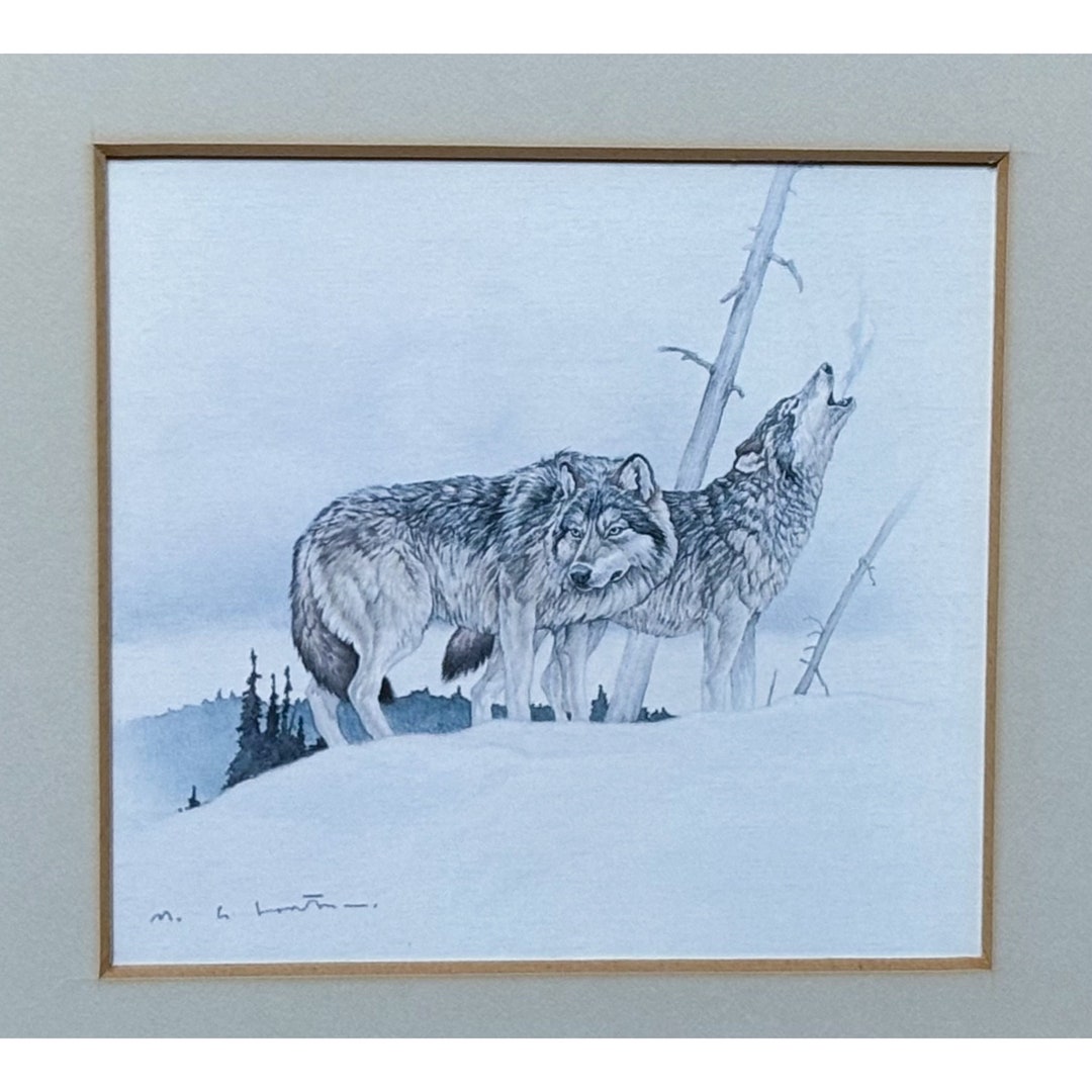 Vintage Timber Wolf Art Print W Matte Martin Glen Loates Wildlife ...