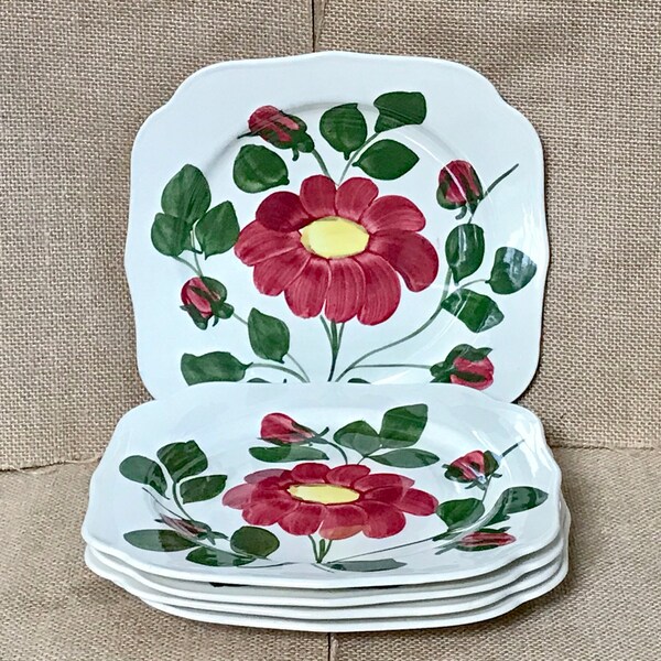 Blue Ridge Plates - Etsy