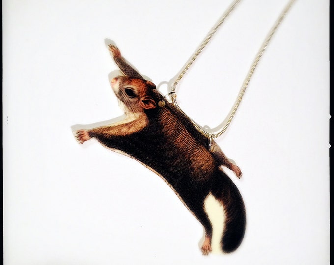 Rare Woolly Flying Squirrel Necklace - Eupetaurus Cinereus Colour ...