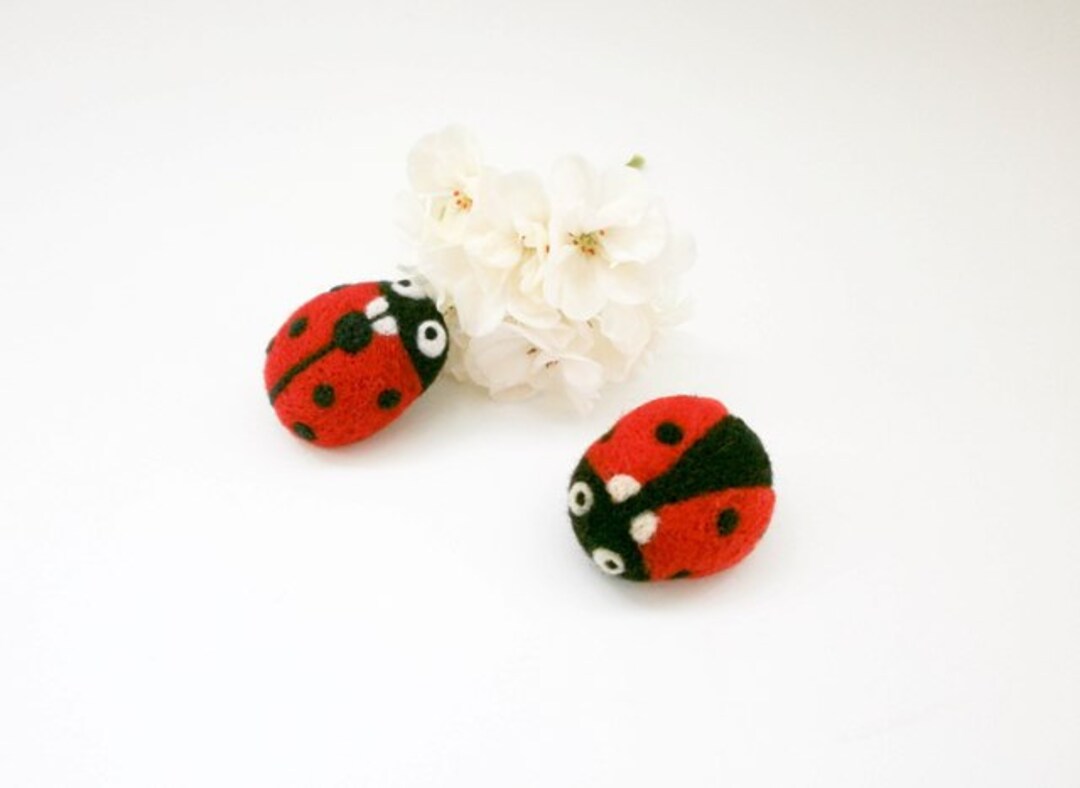 Needle Felted Ladybug Brooch, Red Bug Pin, Handmade Insect Jewelry Gift ...