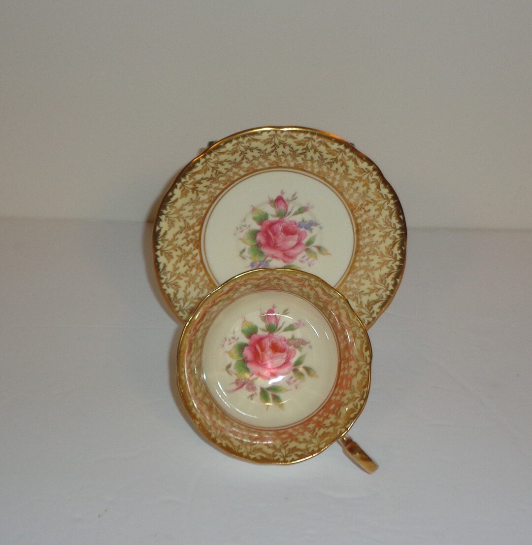 Vintage Aynsley Cabbage Rose Cup and Saucer, Gold Trimmed Fine Bone ...