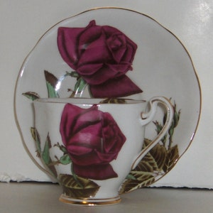Royal Standard English Rose Cup and Saucer Free Standard Shipping in ...