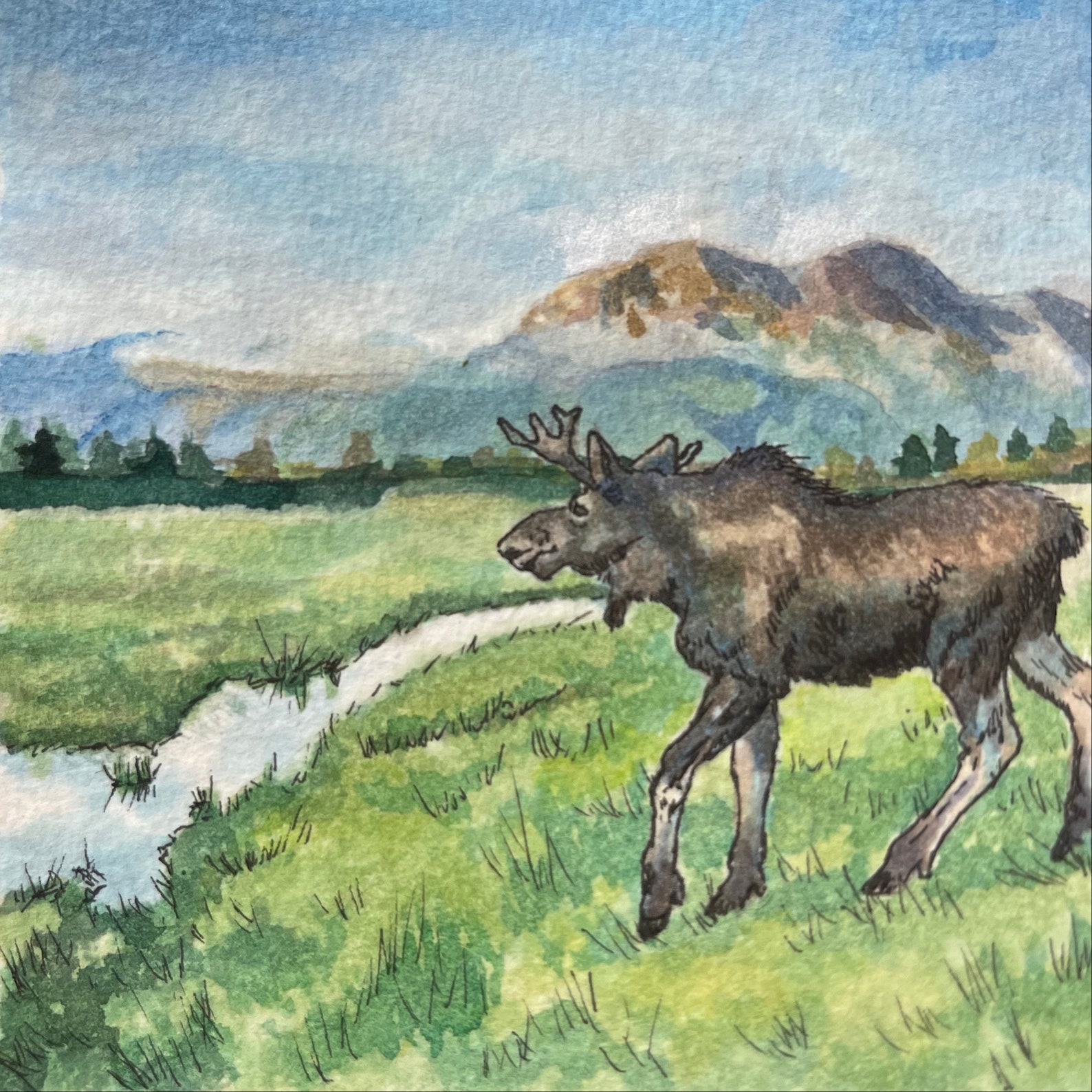 Alaskan Moose ORIGINAL WATERCOLOR PAINTING Nature Wall Art | Etsy