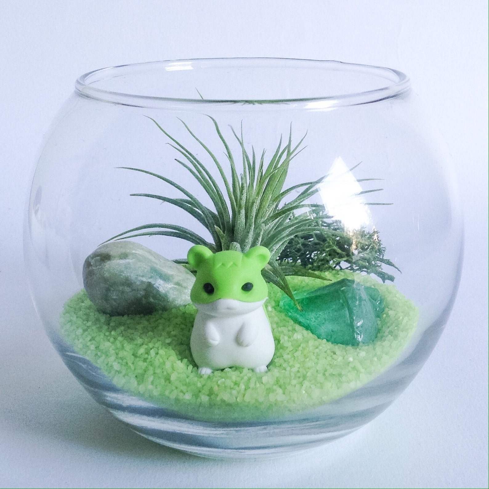 Green Hamster Terrarium Kit - Etsy
