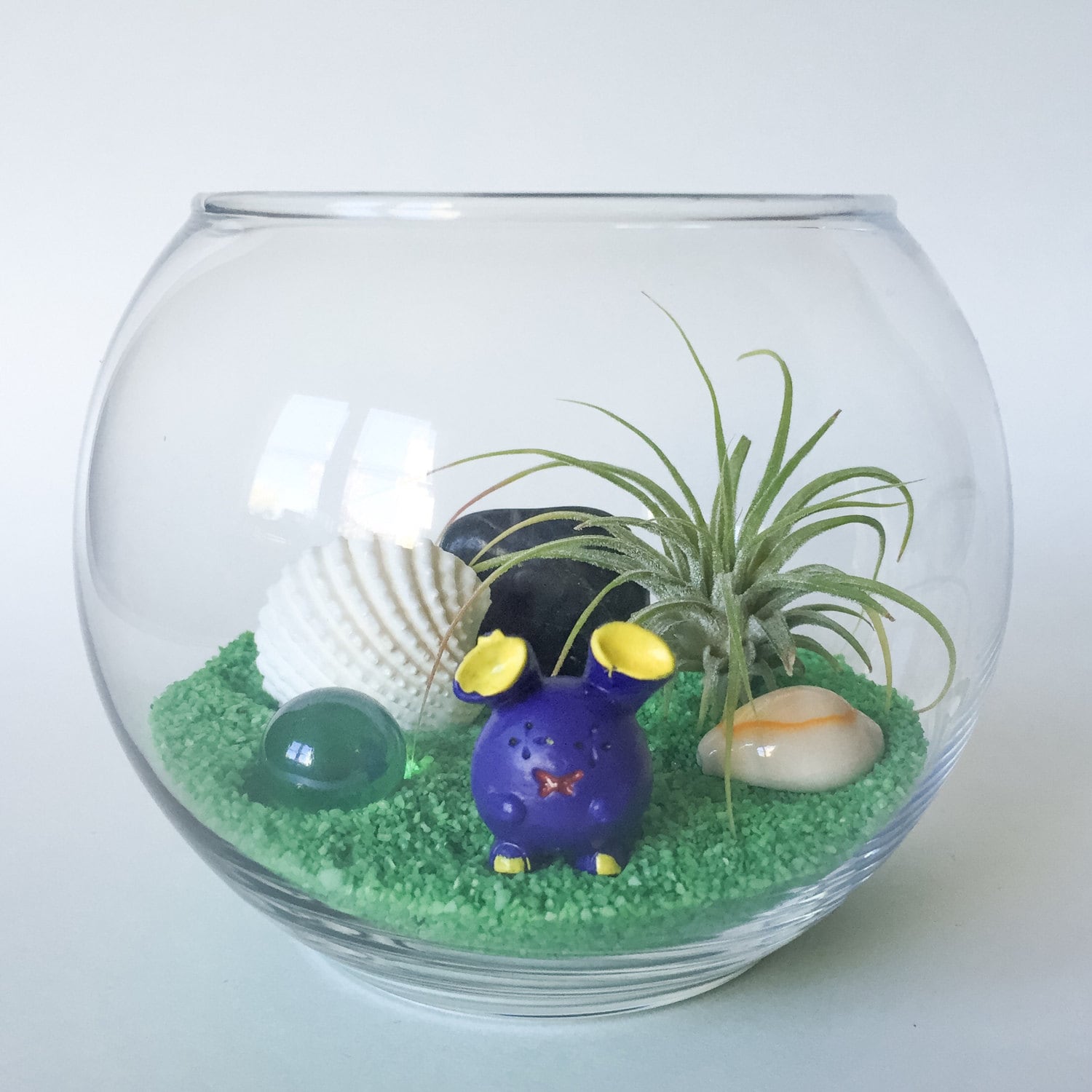 The Pokemon Series: Whismur Terrarium Kit - Etsy