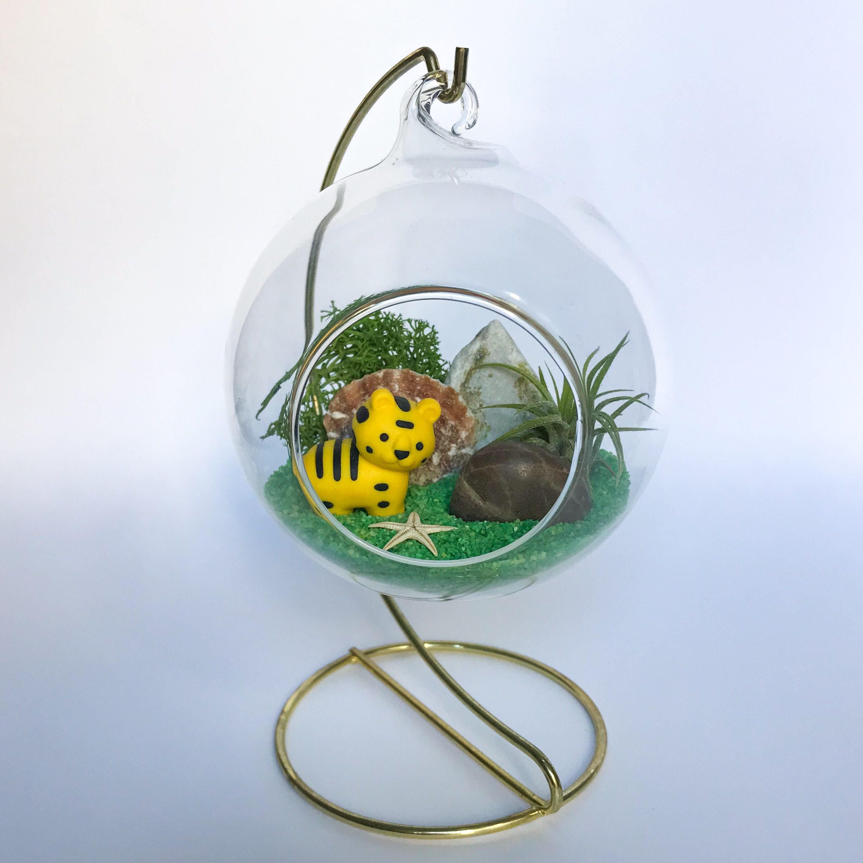 The Safari Series: Tiger Terrarium Kit - Etsy