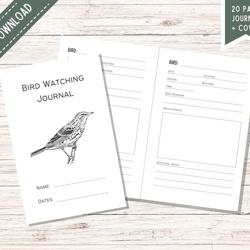 Bird Study - Etsy