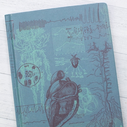 Cardiology Notebook Anatomical Heart Softcover Journal - Etsy