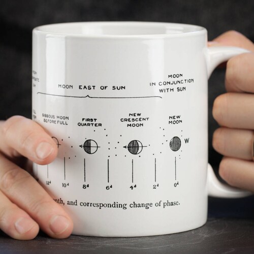 Spider Print Mug 20 Oz Science Mug Biology Gifts - Etsy