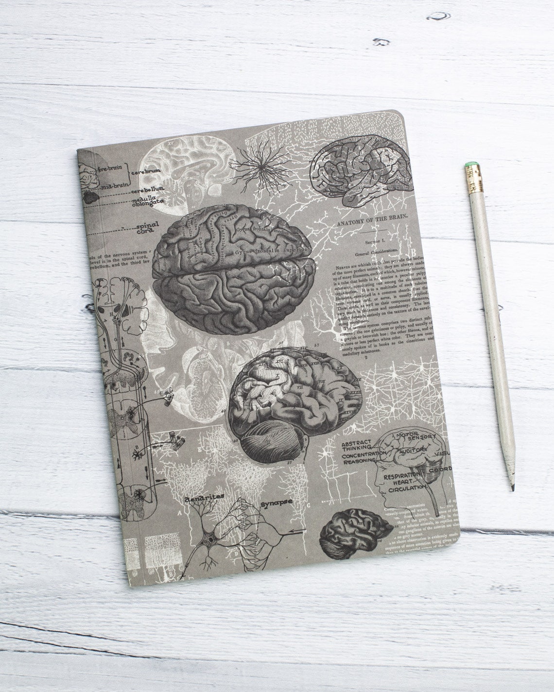 Brain Anatomy Softcover Notebook Dot Grid Journal Graph - Etsy