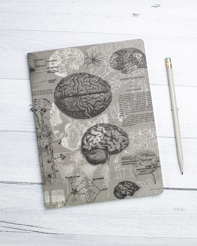 Brain Anatomy Softcover Notebook Dot Grid Journal Graph - Etsy