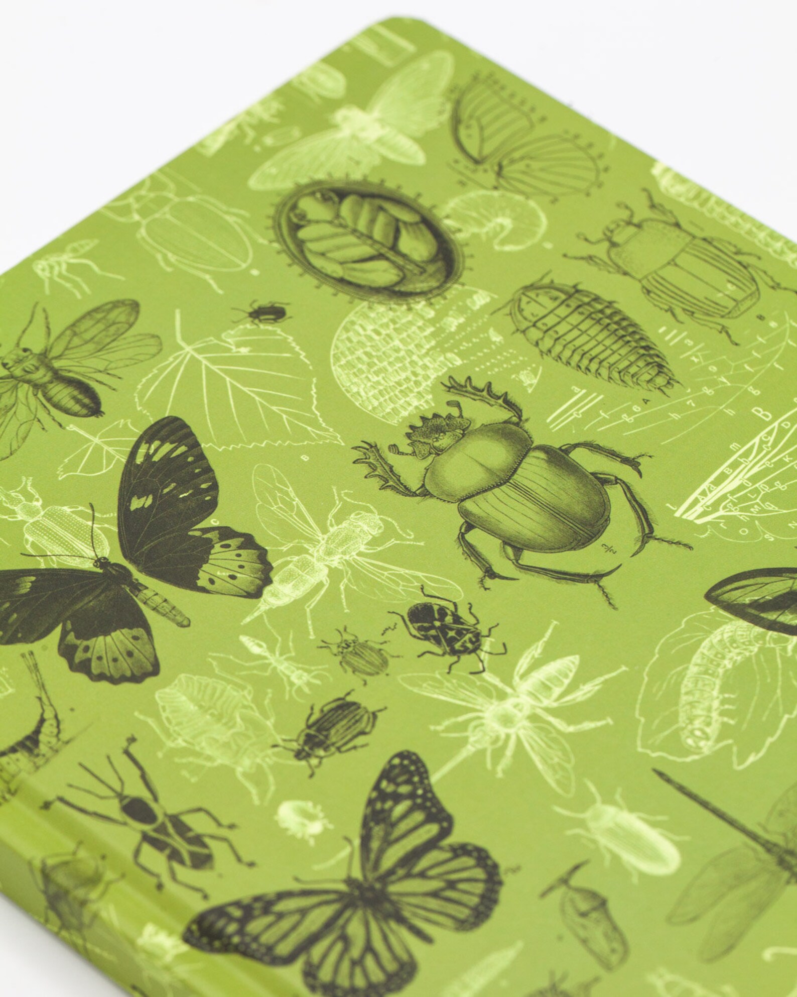 Insect Hardcover Notebook Dot Grid Graph Paper Notebook - Etsy
