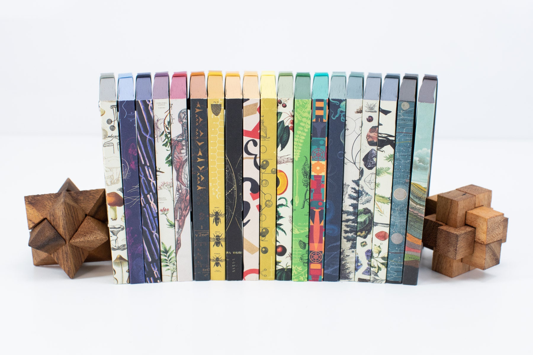 Equations That Changed the World Pocket Notebook Softcover | Etsy