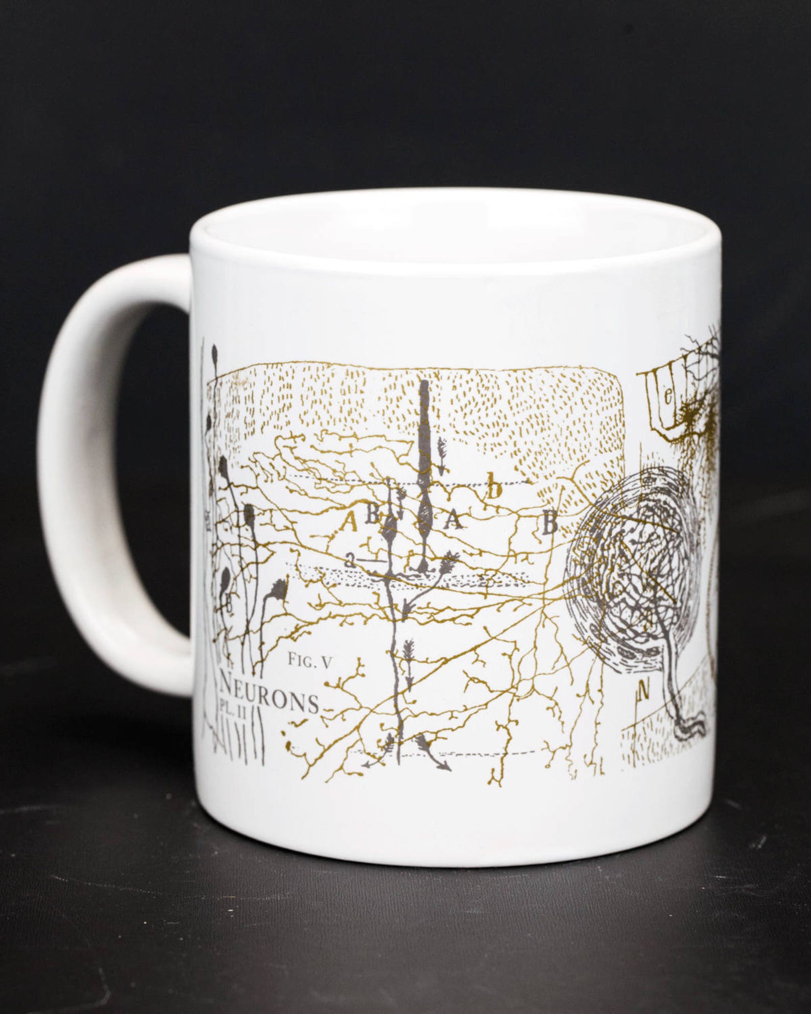 Neuroscience Mug 20 Oz Neuron Coffee Mug Brain Science Mug - Etsy