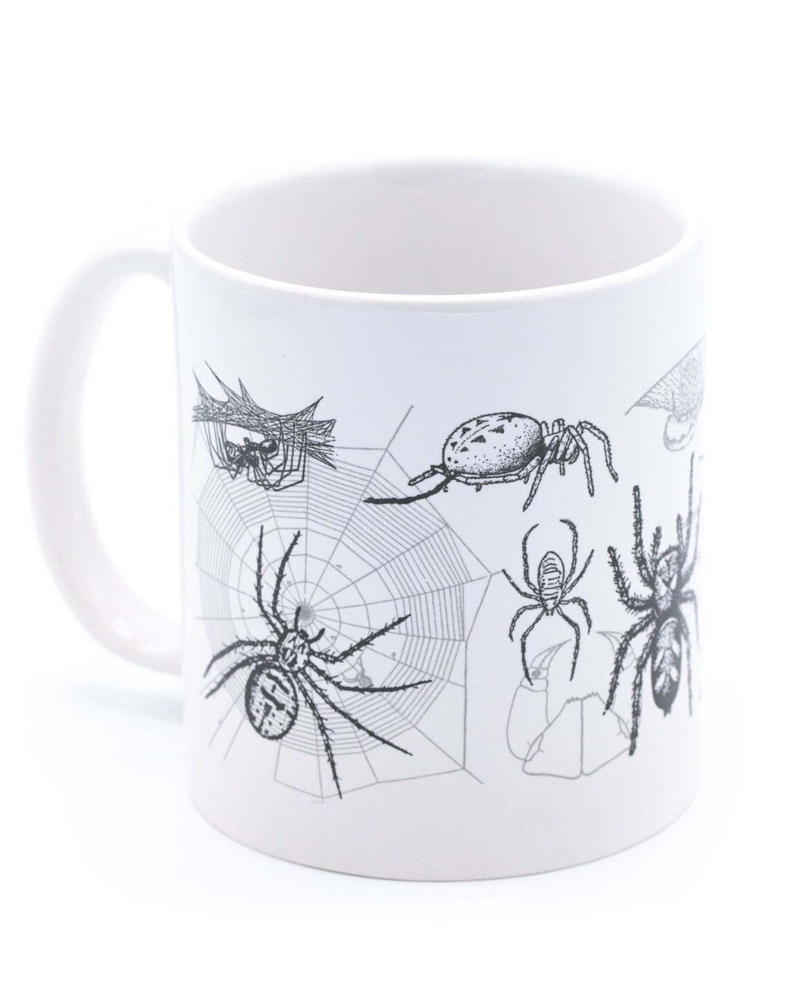Spider Print Mug 20 Oz Science Mug Biology Gifts - Etsy