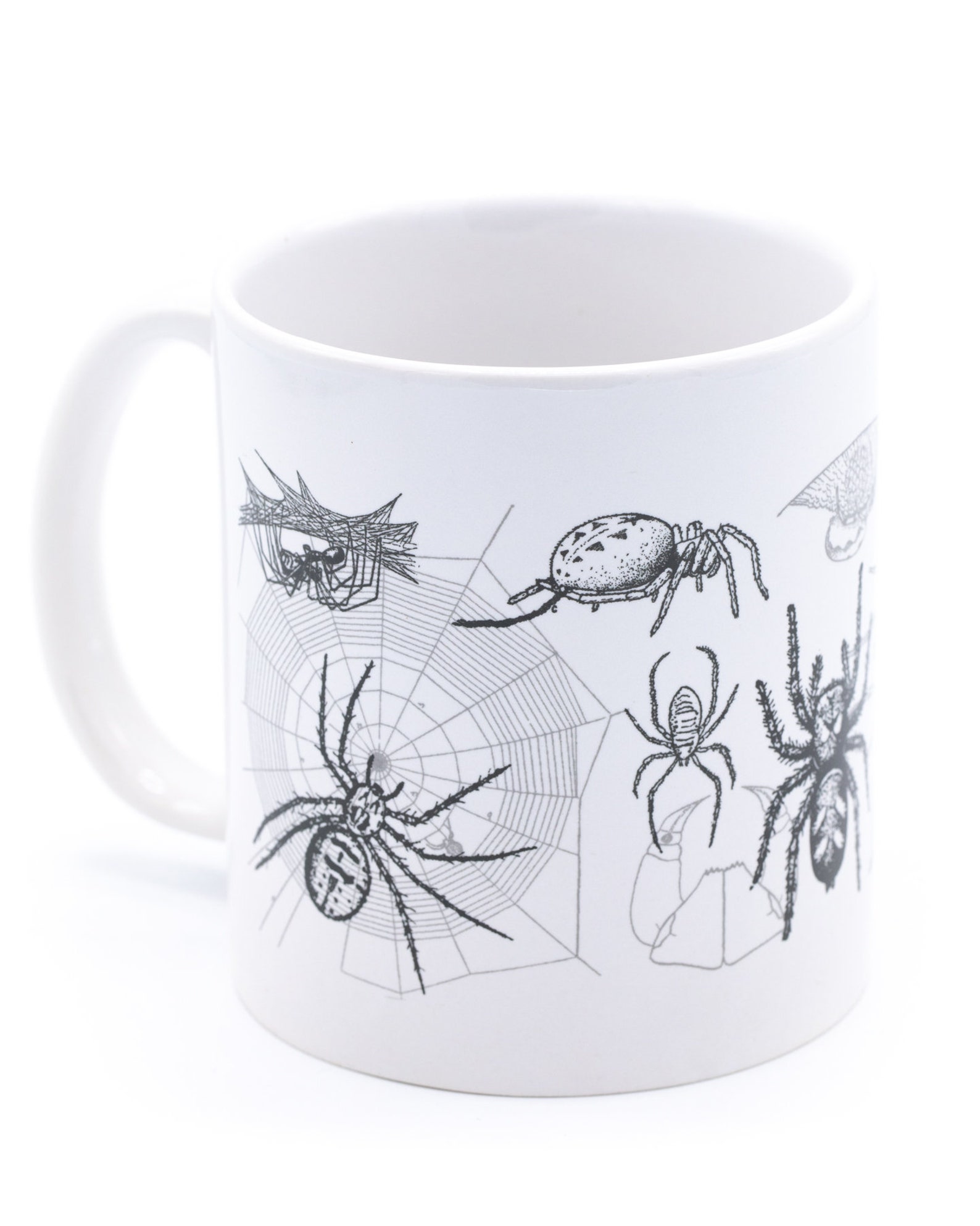 Spider Print Mug 20 Oz Science Mug Biology Gifts - Etsy