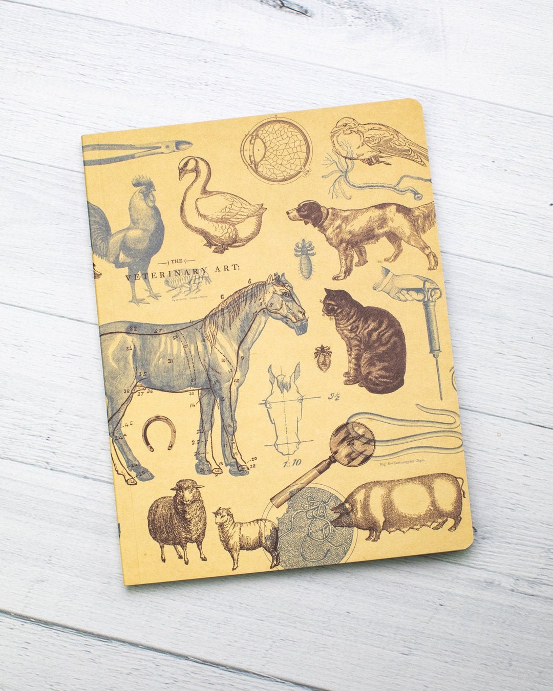Veterinarian Notebook - Softcover | Vet Journal, Veterinarian Gift, Dot ...