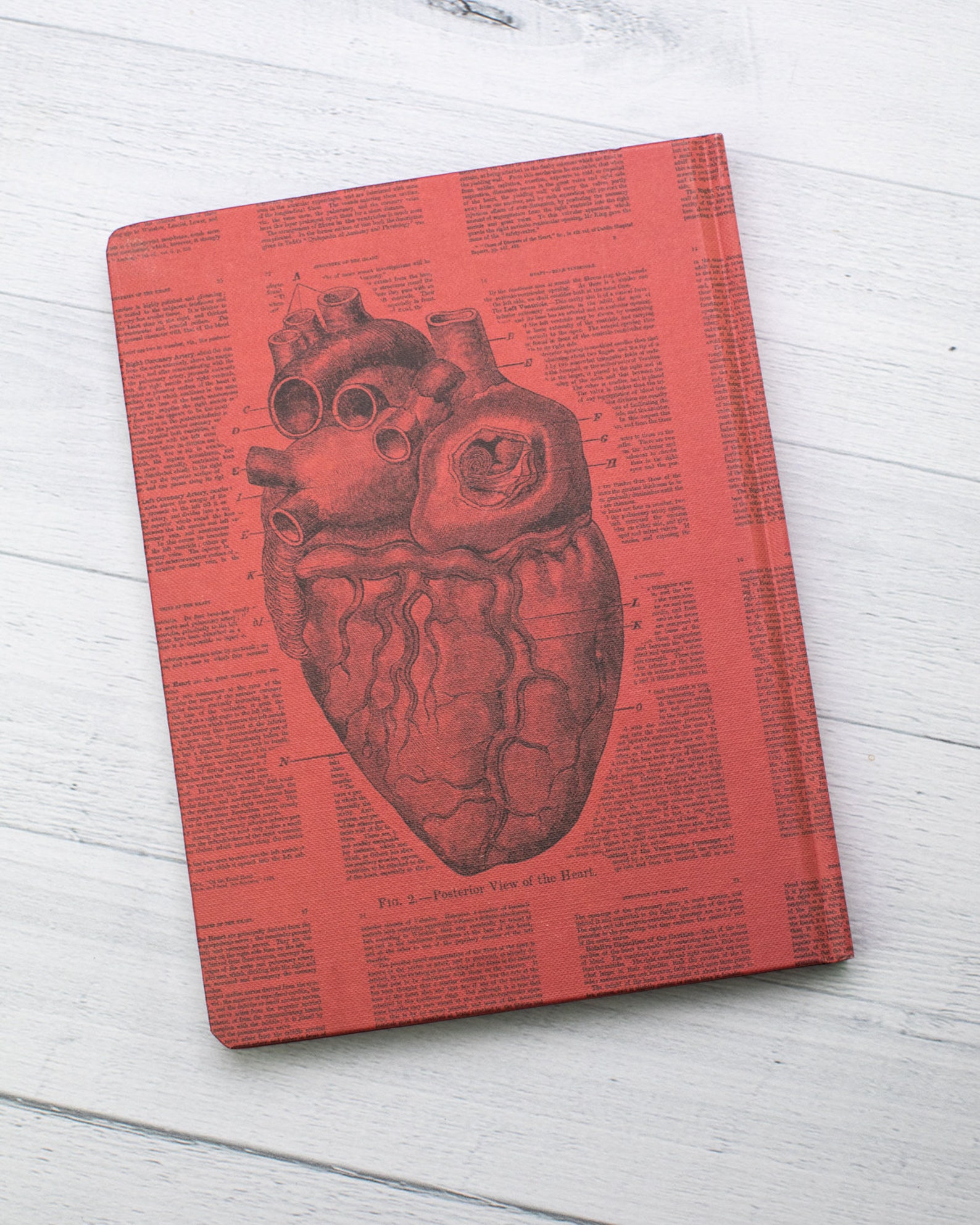 Anatomical Heart Hardcover Notebook Medicine Gift - Etsy