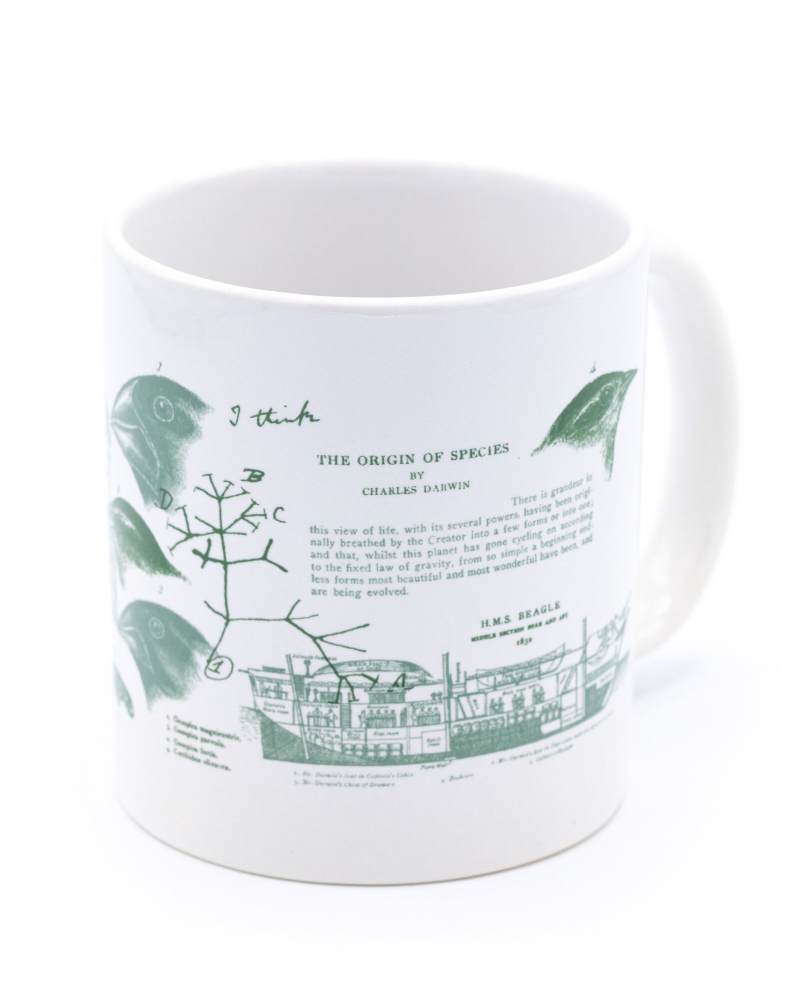 Evolution Science Mug 20 Oz Biology Gifts - Etsy