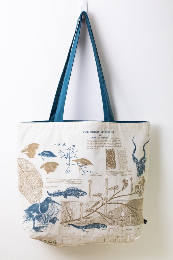 Cell Division Mitosis Clip Art Digital Download Cute Biology - Etsy Canada