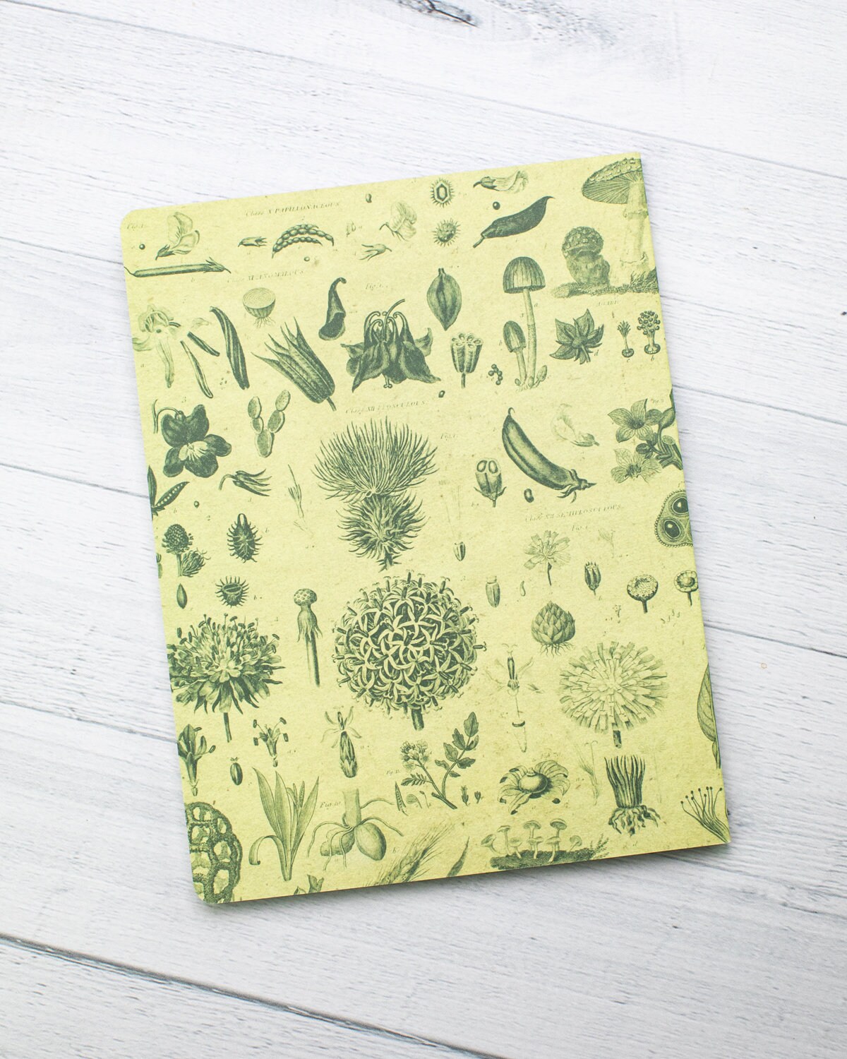 Botanical Print Softcover Notebook Hiking Journal Botany - Etsy Australia