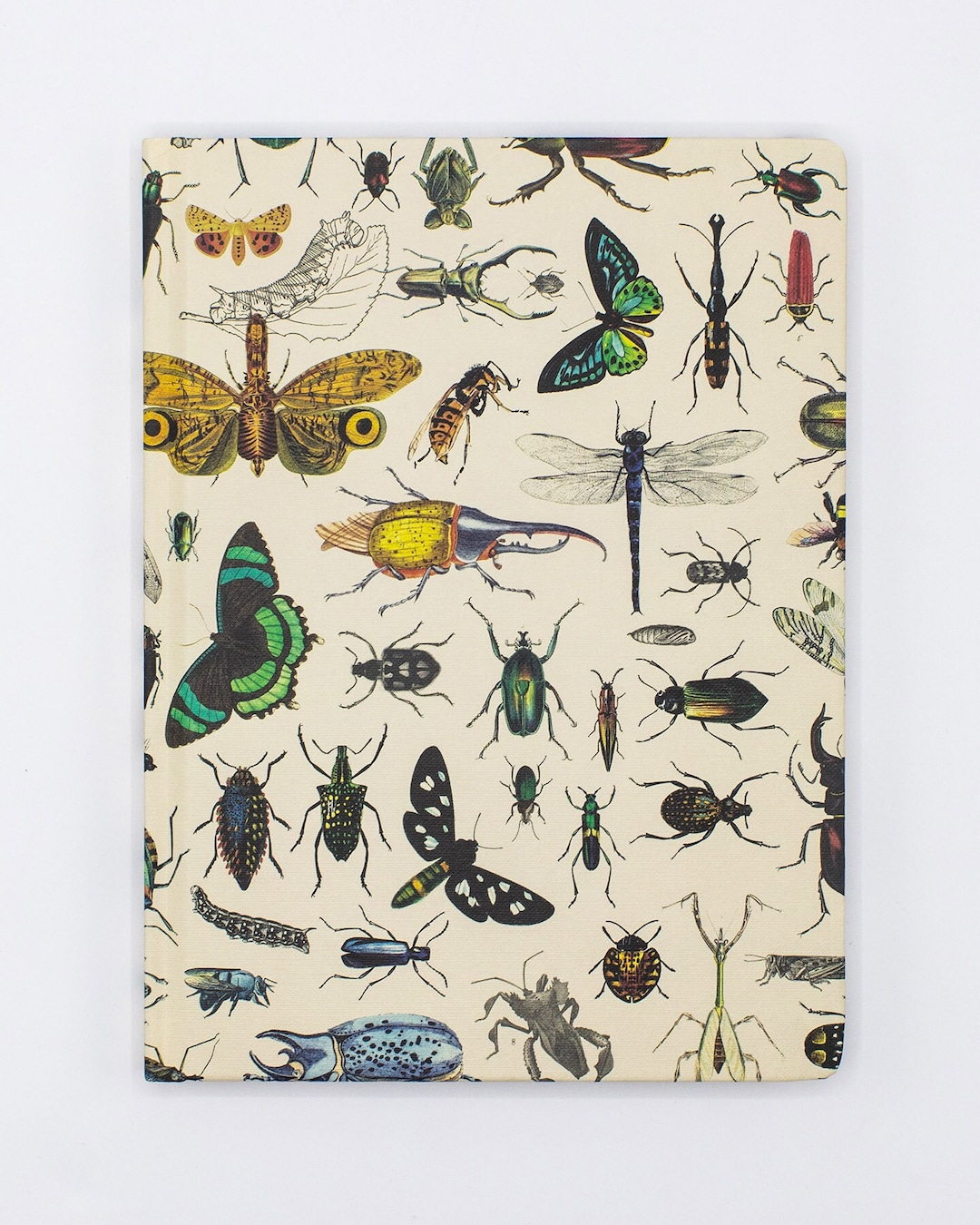 Insectos, mariposas y escarabajos Cuaderno de bocetos de tapa dura ...