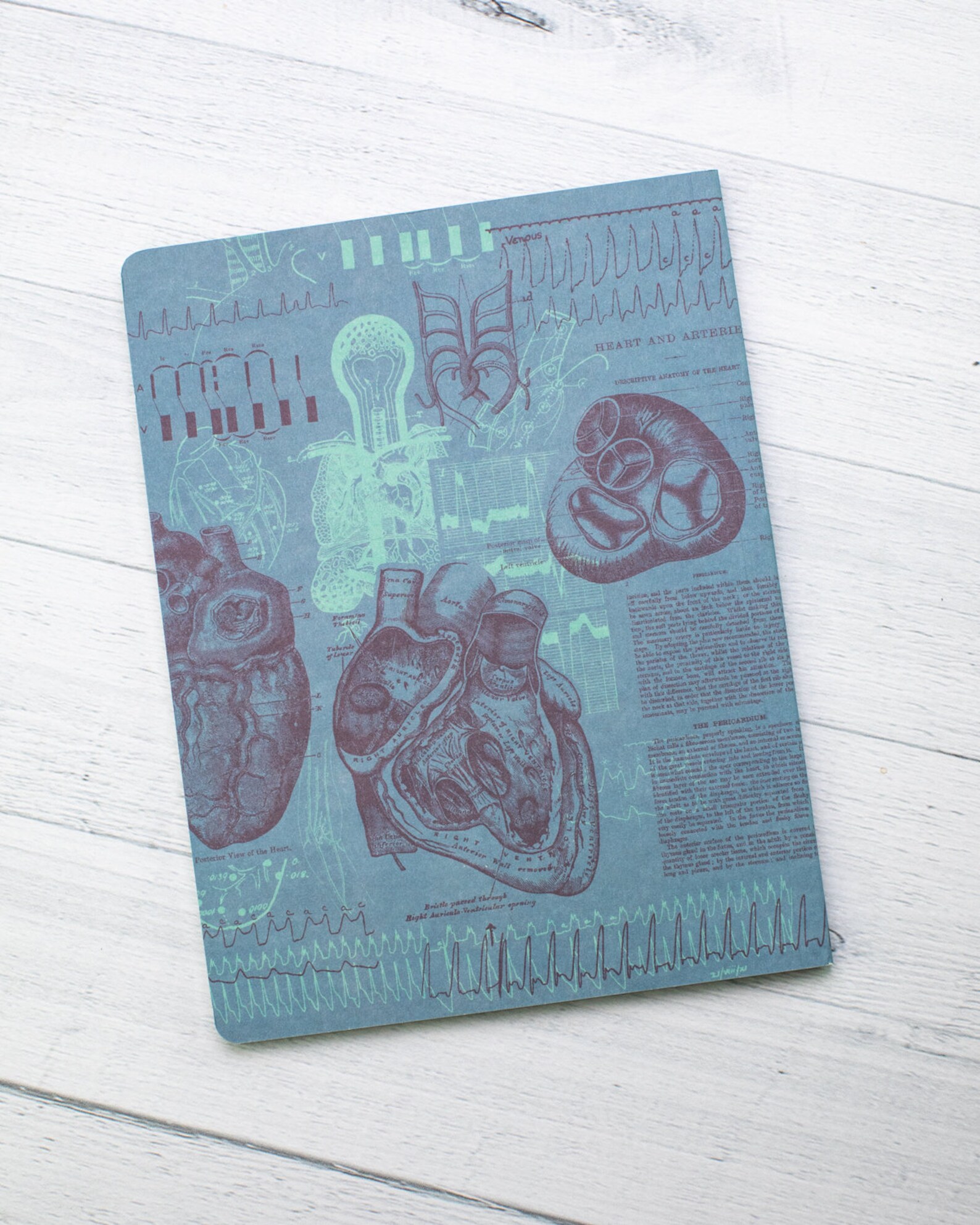 Cardiology Notebook Anatomical Heart Softcover Journal | Etsy