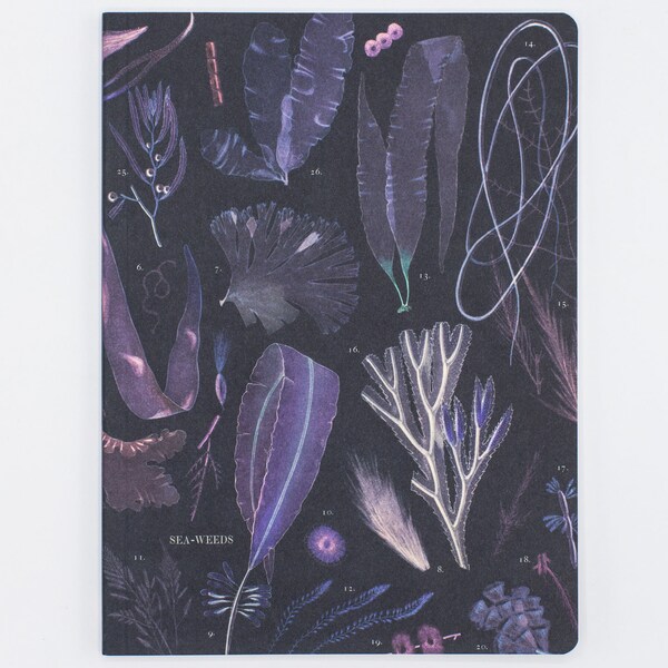 Biology Binder Cover - Etsy