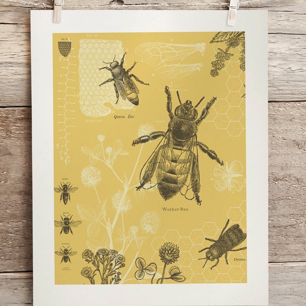 Scientific Bee Print - Etsy