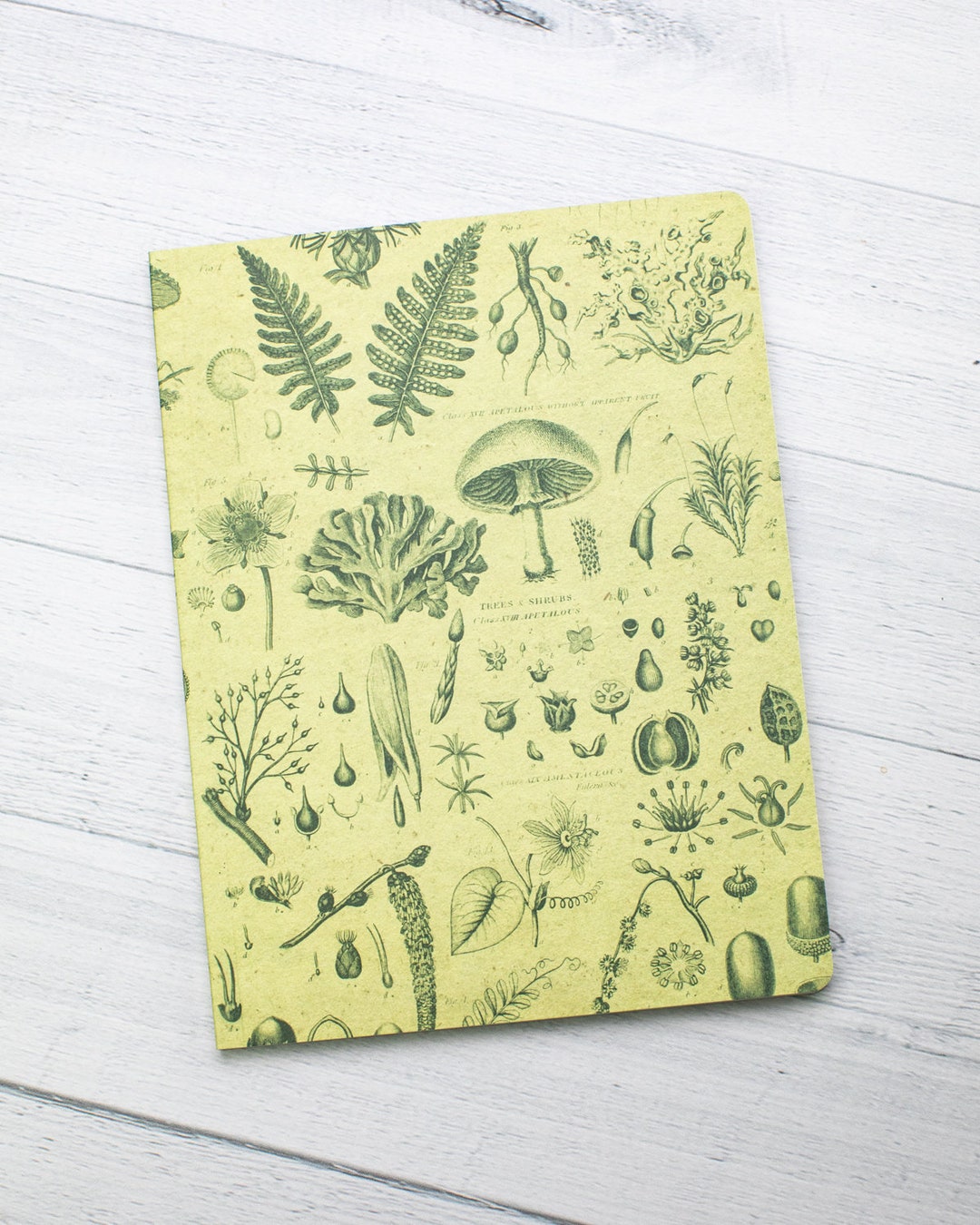 Botanical Print Softcover Notebook | Hiking Journal, Botany, Ecology ...