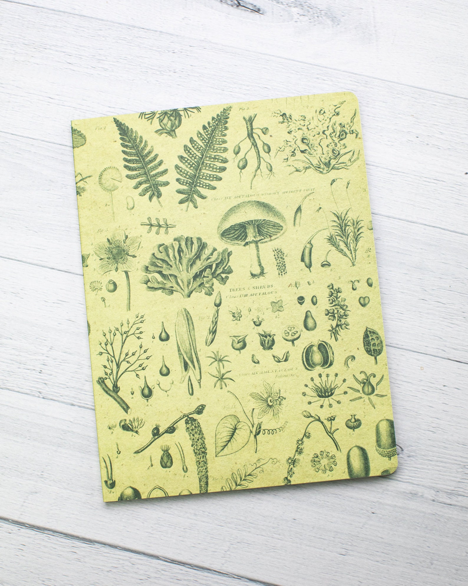 Botanical Print Softcover Notebook Hiking Journal Botany - Etsy