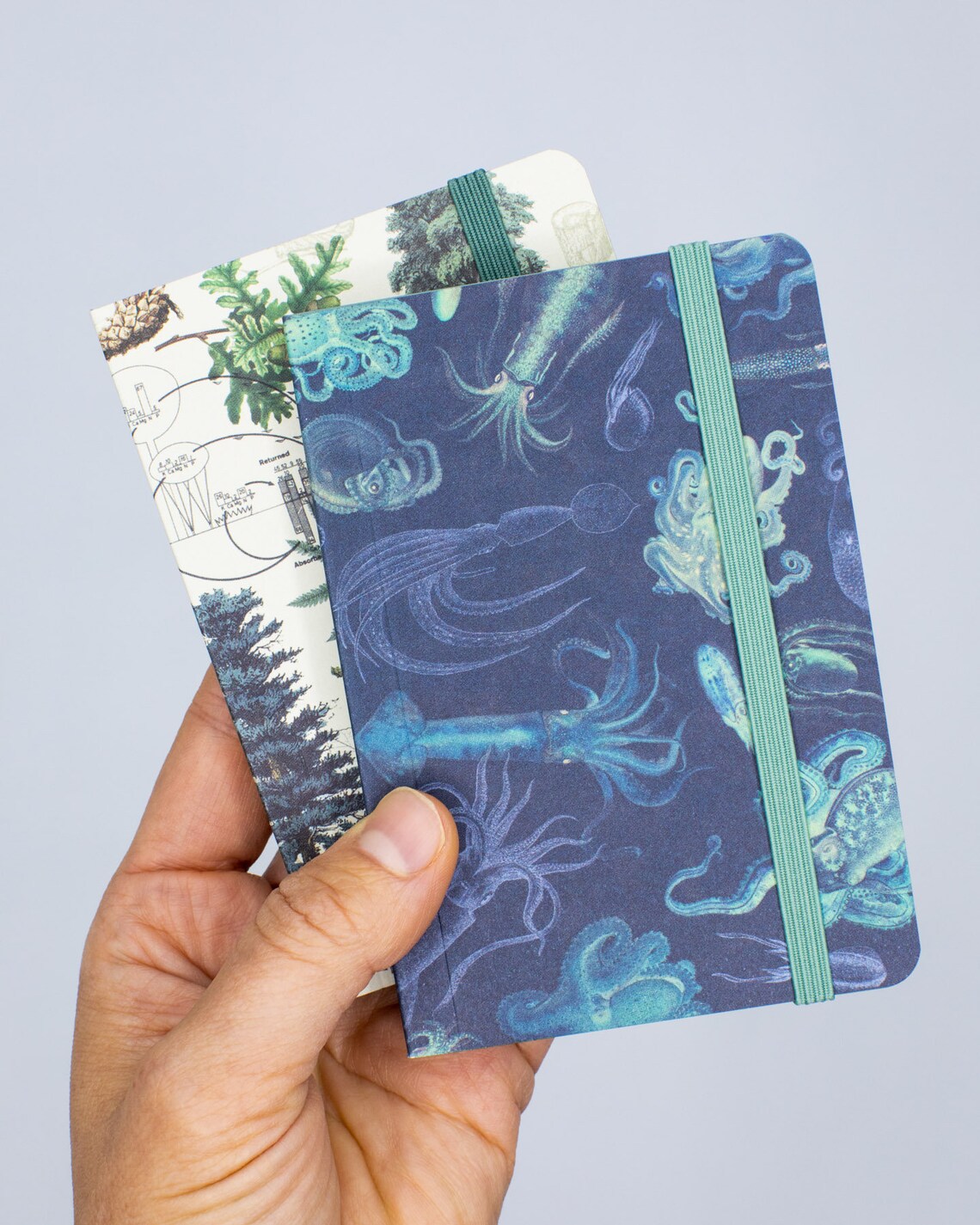 Equations That Changed the World Pocket Notebook Softcover - Etsy