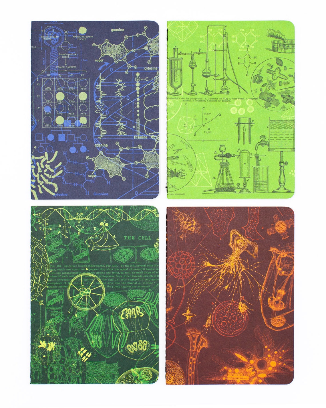 Science Lab Pocket Notebooks Set of 4 Microbiologist | Etsy