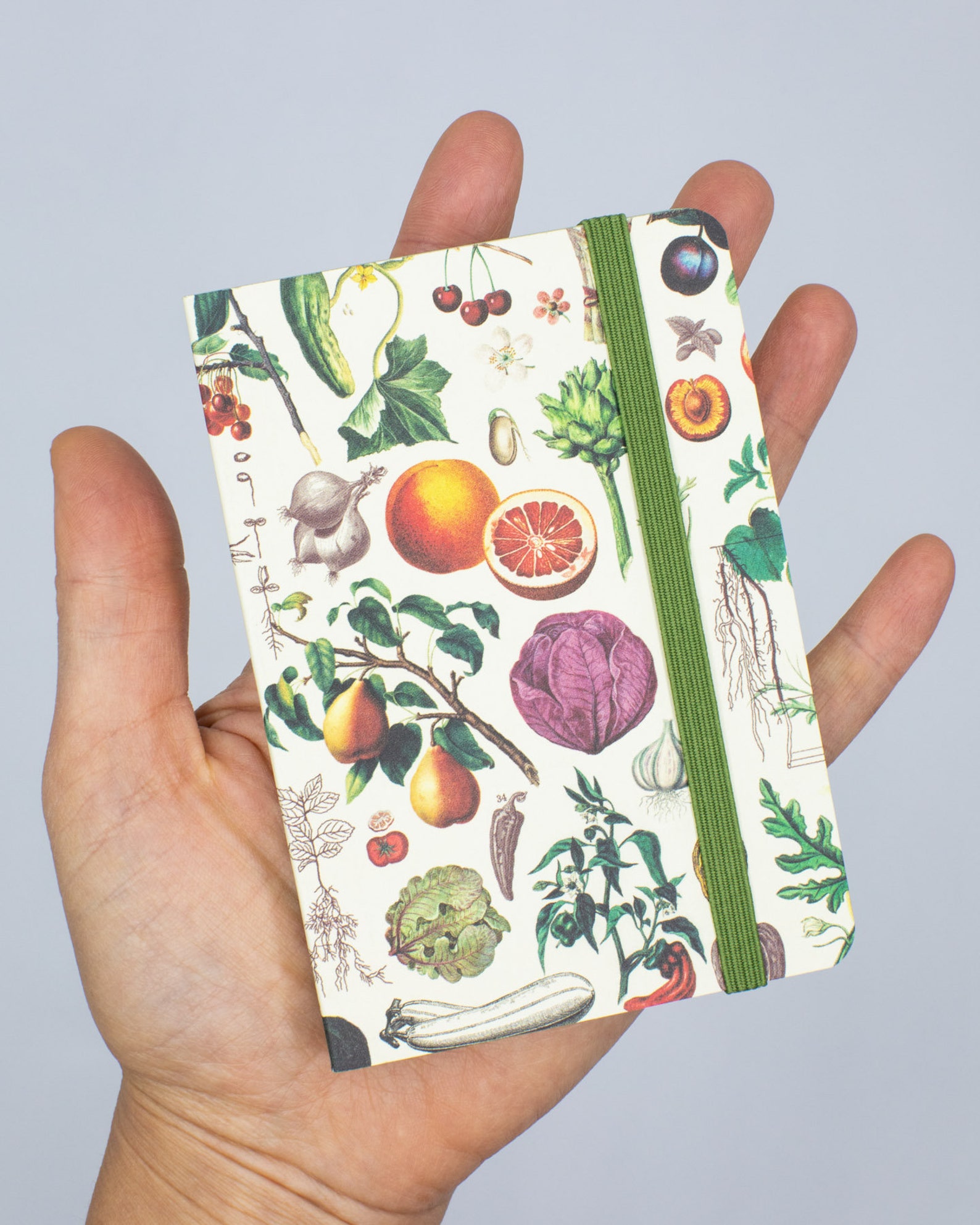 Equations That Changed the World Pocket Notebook Softcover - Etsy