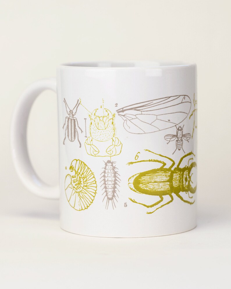 Insect Mug Insect Print Coffee Mug Gardener Gift Botanical | Etsy