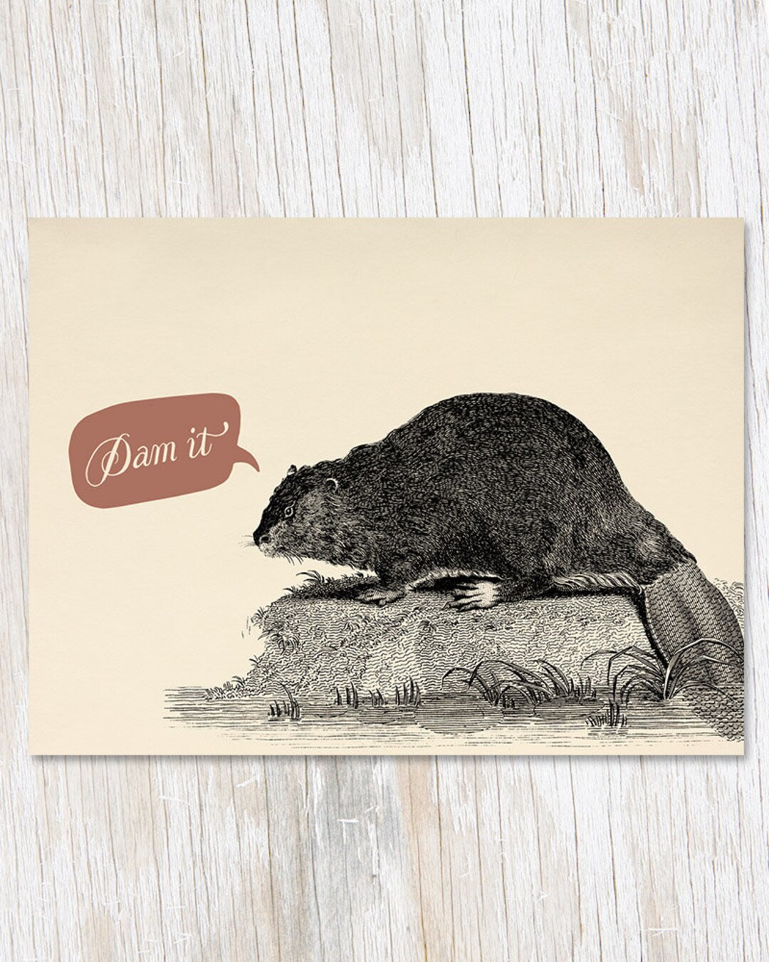 Beaver Dam Card | Beaver Gift, Biology Gifts, College Student Gift ...