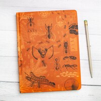 Entomology Print - Etsy