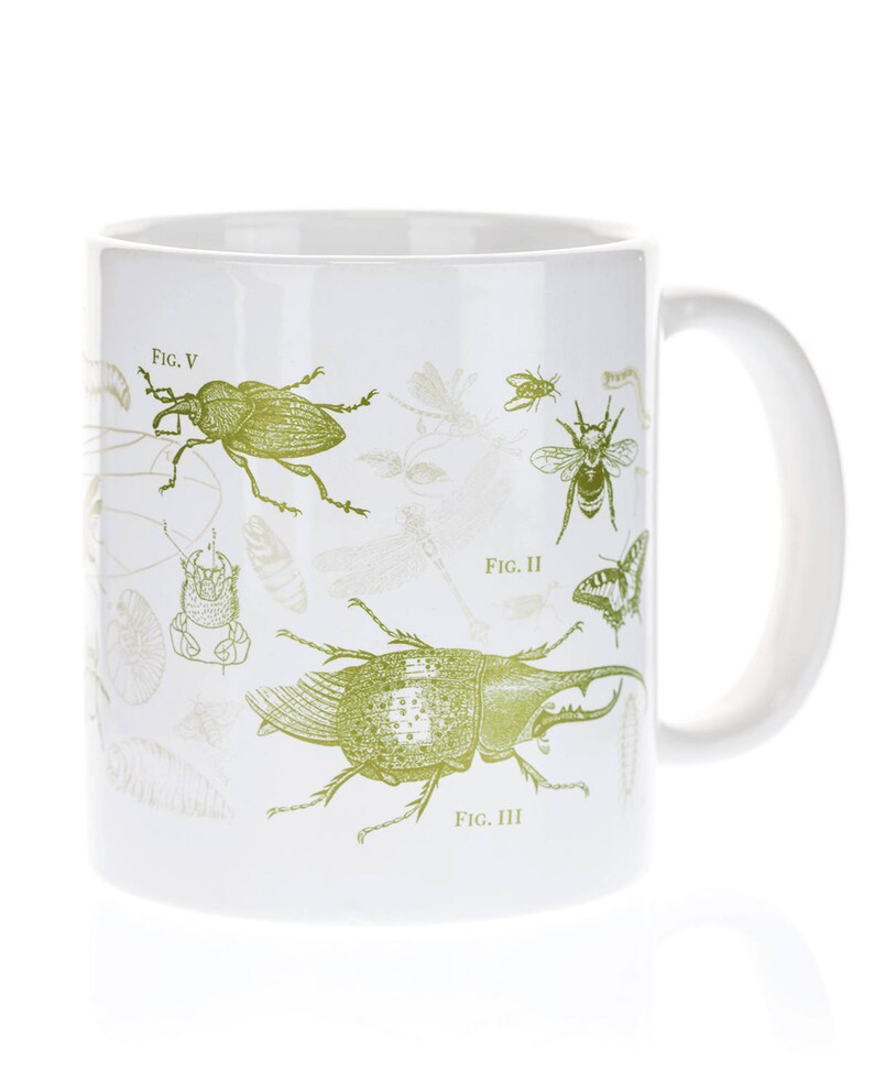 Insect Mug 20 Oz Science Mug Professor Gift Entomology - Etsy