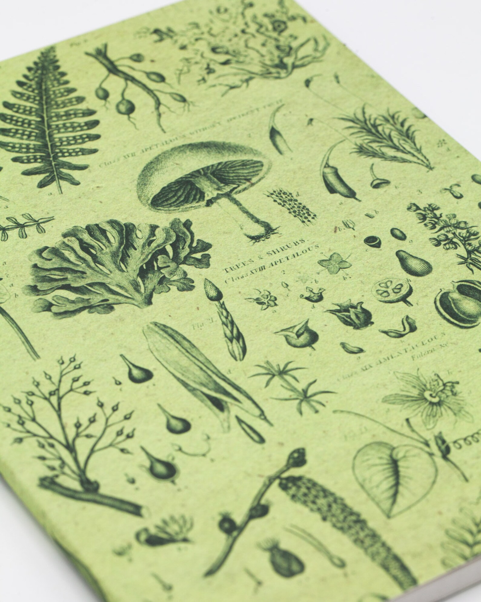 Botanical Print Softcover Notebook Hiking Journal Botany - Etsy