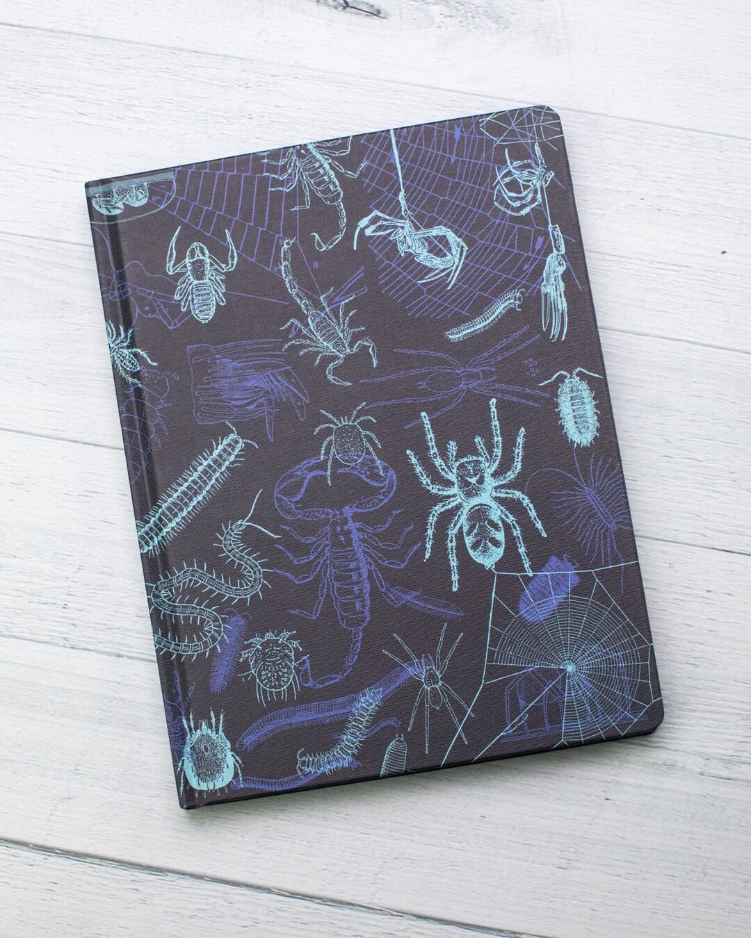 Spider Notebook - Hardcover | Entomology Notebook, Hiking Journal ...