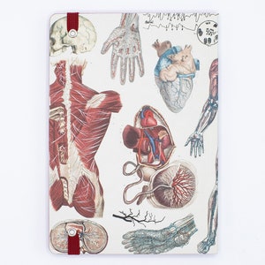 Anatomy A5 Notebook - Softcover | Medical Student Gift, Anatomy Gift ...